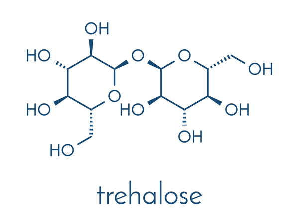 What is trehalose and why is it good for the skin? - Nourish London