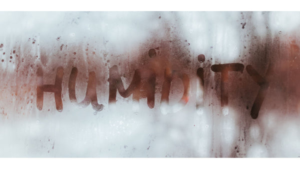 How Climate Change affects your skin - Nourish London